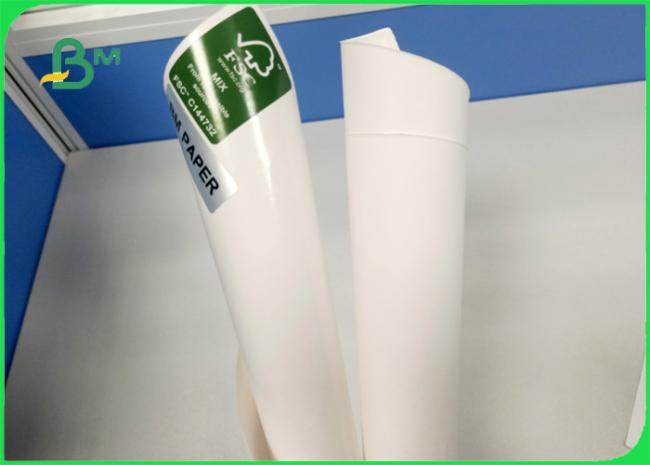 Width 100 * 70cm no fluorescent additives 300gr PE coated wood pulp paper of food 