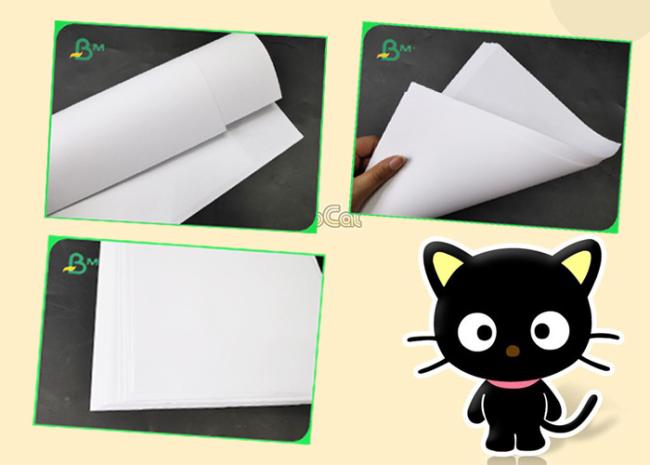80GSM 100GSM Wood Free Paper Uncoated Offset Paper FSC Great Whiteness For Books
