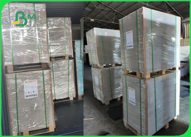 230gsm 250gsm Clay Coated Duplex Board Grey Back For Carton Box Good Stiffness 