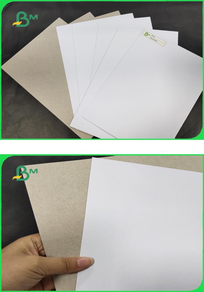 Carta 300/400gsm di UE & del FSC CCNB in Rolls come materiale 900mm del pacchetto 1220mm