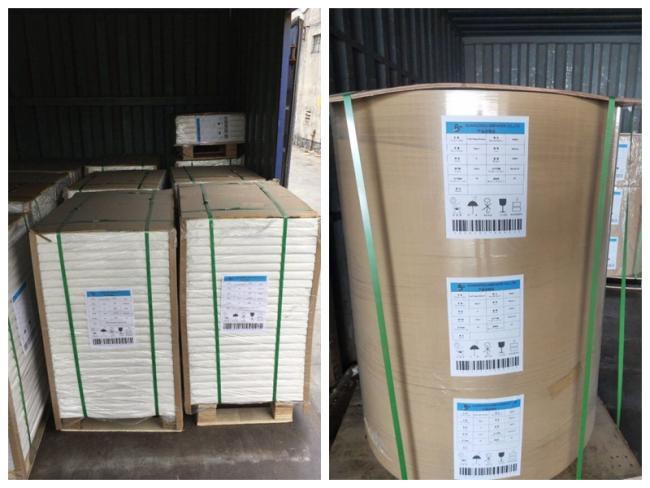 Eco - 쌈 수육을 위한 우호적 60gsm 70gsm 80gsm + 10g PE 코트지