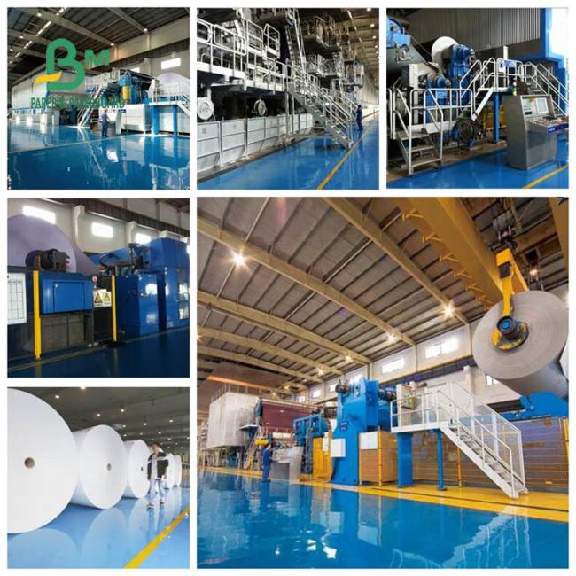 rotolo approvato dalla FDA della carta kraft Del commestibile di 60gsm 120gsm per le celebrazioni