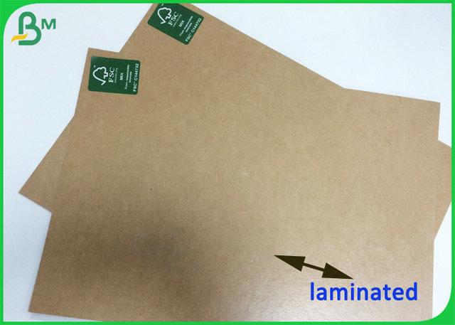 300gr 350gr 400gr Grease proof Double Side Polyester Paper Roll For Lunch Box