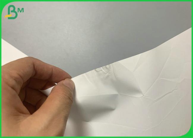 80um 100um Printed Waterproof Synthetic Paper Roll For QR Code Label 700 x 1000mm