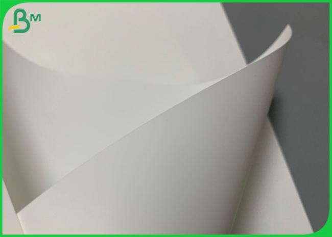 80um 100um Printed Waterproof Synthetic Paper Roll For QR Code Label 700 x 1000mm