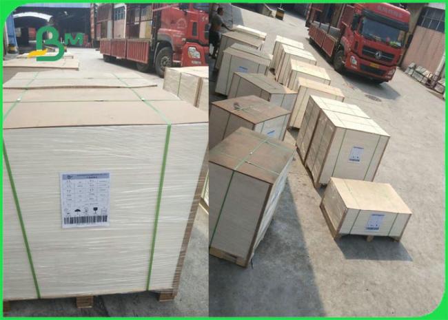 FDA White 260gsm 280gsm+ 15g PE Coated Paper For Lunch Box Good Stiffness