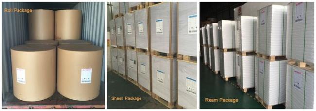 	53GSM 60GSM 70GSM Bond Paper / Offset Printing Paper For Excercise Book