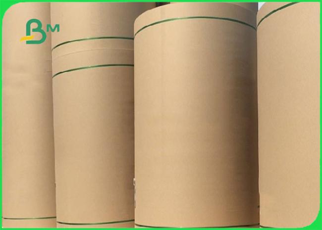  140gsm 170gsm One Side White Coated Test Liner Paper Roll For Pizza Box 1400MM