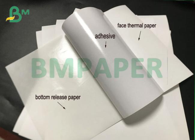 Jumbo Rolls Direct Thermal Label Adhesive Sticker Paper For Logistic Labels