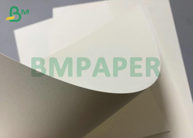 250g 300g Offset Printing Disposable Lunch Box Paper For Paper Plate