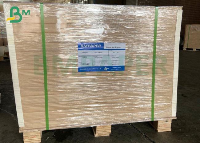 C2S glossy art paper