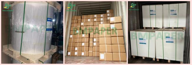 Color Transfer Paper 42gsm to 285gsm Tracing Illustration Translucent Sketching Paper