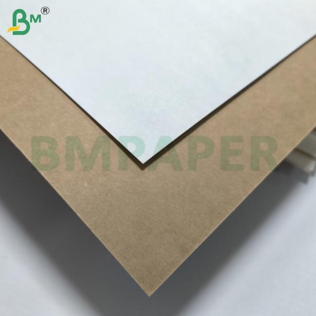 PE Coated Cupstock Paper 1 PE 2 PE Coated Cup Making Paper