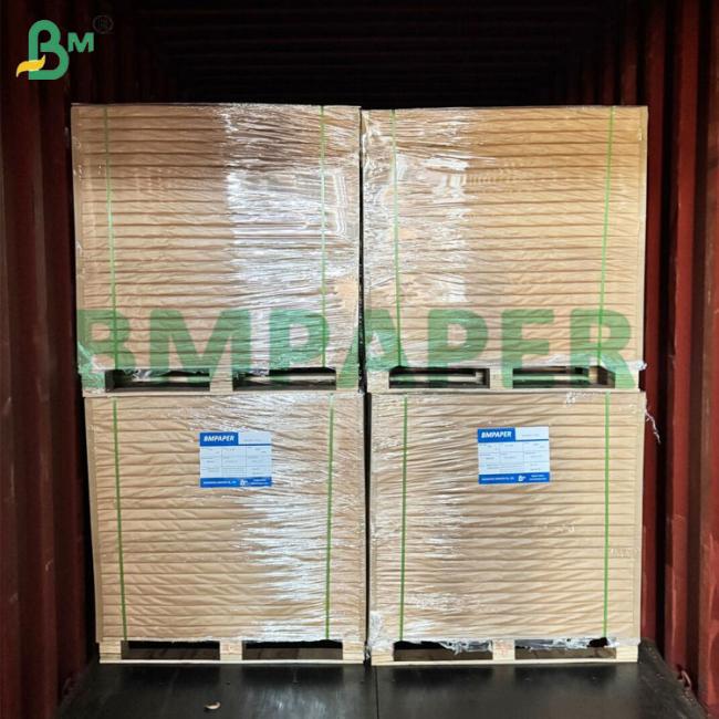 50 GSM Odorless High Filtration Efficiency Coffee Filter Paper Rolls