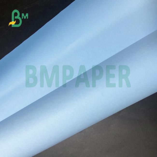Professional-Grade Blue CAD Plotter Paper for Design Depiction Needs