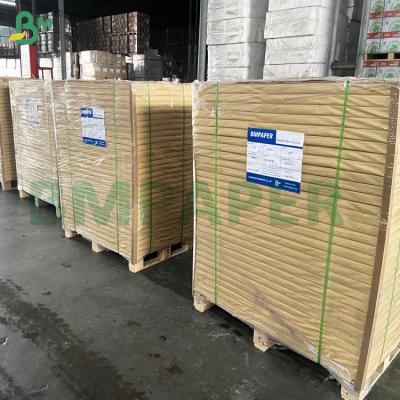 China White And Unbleached Coffee Filter Paper Roll And Sheet 50gsm for sale