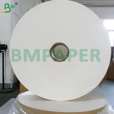 China 50 GSM Odorless High Filtration Efficiency Coffee Filter Paper Rolls for sale