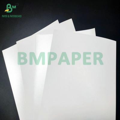 China Smooth Surface 290gsm + 15gsm PE SBS Cardboard For Frozen Packaging Box for sale