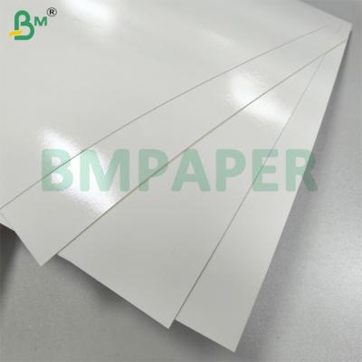 China White PET Coating Food Service Paper for Paper Plate Grease Resistant for sale
