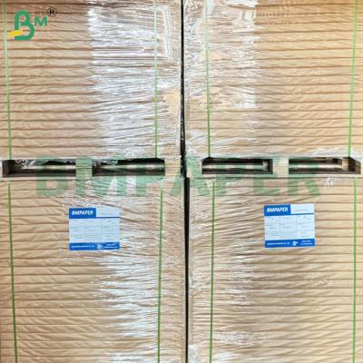China 50GSM Food Grade Filter Paper Sheets for Coffee and Tea Filter for sale