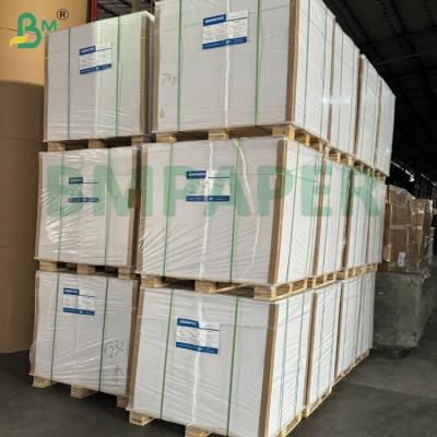 Китай 54gsm Беленая микро-крепированная основа для кофейных фильтров для автоматических капельных кофеварок продается