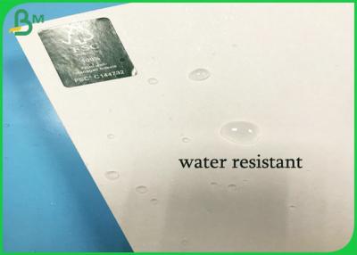 China Waterproof White Poly Coated Paper Food Grade Virgin Pulp Material FDA Certified for sale