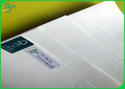 China Food Grade PE Coated Paper Waterproof 160g 200g 250g 300g For Muffin Cup for sale