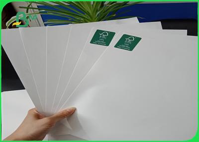 China White Greaseproof Paper Roll , 30 - 300g Recycled Kraft Paper Roll FSC FDA Approved for sale