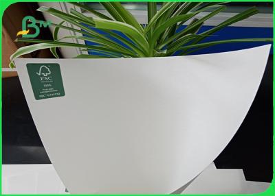 China White Greaseproof Paper Roll , 30 - 300g Recycled Kraft Paper Roll FSC FDA Approved for sale