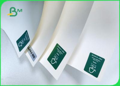 China 160gsm Smothness Ivory Paper With 15gsm PE - Coated Paper For Paper Cup for sale