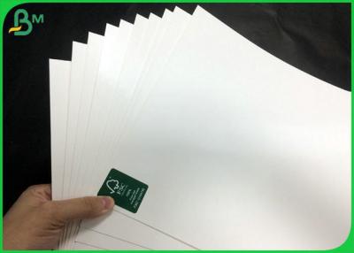 Cina singola carta rivestita della scatola di pranzo del PE di 336.3*301.1mm con la certificazione di FDA in vendita