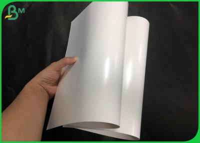 Cina singola carta rivestita della scatola di pranzo del PE di 336.3*301.1mm con la certificazione di FDA in vendita
