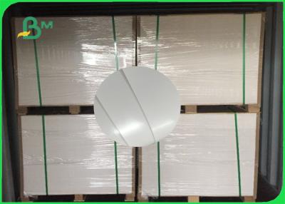 Buona carta della tazza di lavorabilità 170gsm-300gsm di alta resistenza di scoppio in rotolo