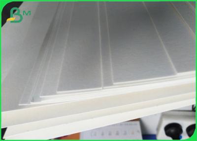 Cina materiale del bordo della fodera del cappuccio del bianco sporco 445gsm con poli rivestito di lucentezza in vendita