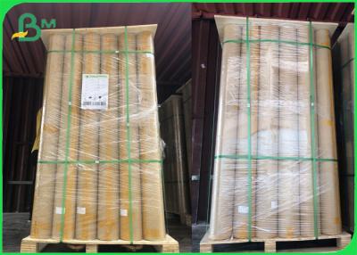 Cina 24" X 150' carta di tracciatore dell'indicatore cad Grey White Color 70g 80g in vendita