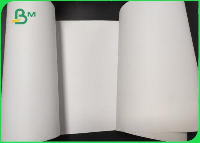 China Graph Paper Roll 20lb 24" X 300" Size 2" Plotting Paper Roll 3 Rolls carton for sale