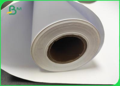 China Graph Paper Roll 20lb 24" X 300" Size 2" Plotting Paper Roll 3 Rolls carton for sale