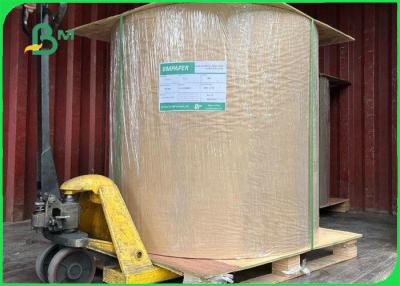 중국 음식 급료 250gsm+ 15g PE 입히는 도시락 종이 기름이 나는 850mm 895mm 판매용