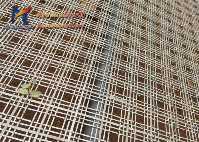 Chine fil Mesh Railing Infill Panels de 3mm à vendre
