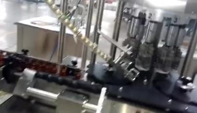 China Staight Paste Filling Wine Bottle Capper , 16 Nozzles Aluminium Cap Sealing Machine for sale