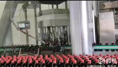 China Top Quality Bottle Cap Sealing Machine , Full Automatic Beer Bottle Capper For Sale for sale