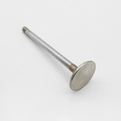 Cina 21896344 20758481 valvola del motore diesel D7E per Volvo EC210 EC210B in vendita