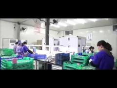 Guangzhou Huasheng Machinery Equipment Co., Ltd., la cui attività principale è la fabbricazione di motori e ricambi