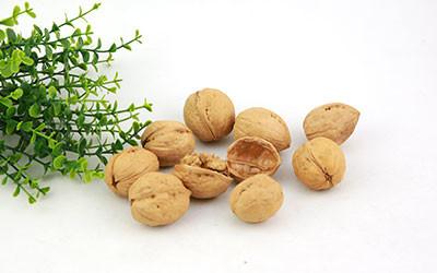 Geverifieerde leverancier in China: - Hebei Jiaze trading co.,ltd