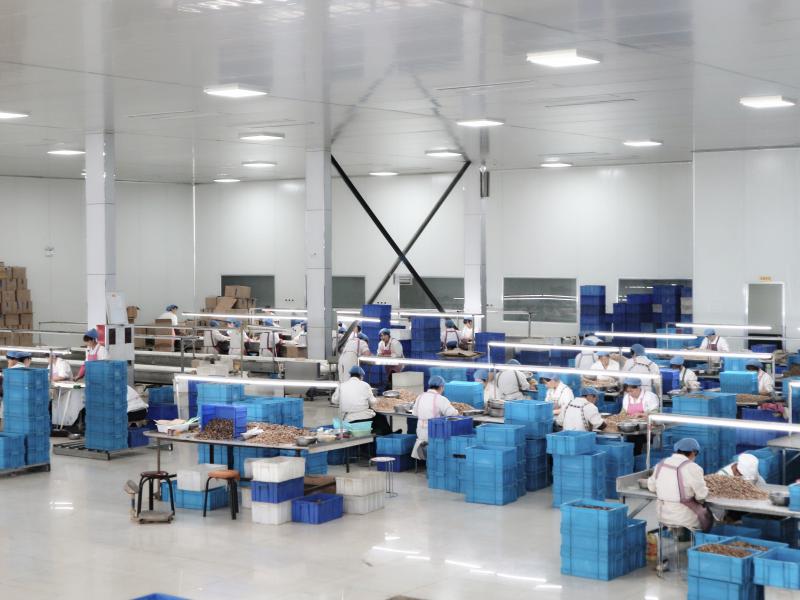 Geverifieerde leverancier in China: - Hebei Jiaze trading co.,ltd