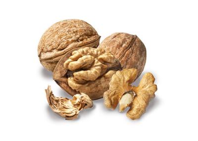 China Walnut In Shell --- Carya for sale