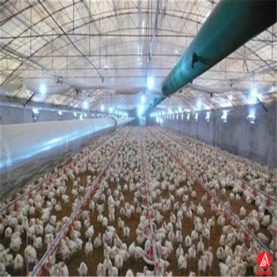 China low cost high quality poultry house design for layers in kenya farm for sale