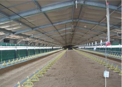 China Light steel frame chicken house designs prefab chicken farm building for sale
