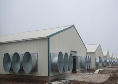 China poultry house companies looking for distributors chicken farm building for sale