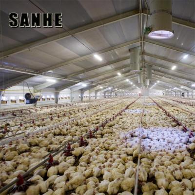 China chicken breeding cage/layer egg chicken cage/poultry farm house design for sale